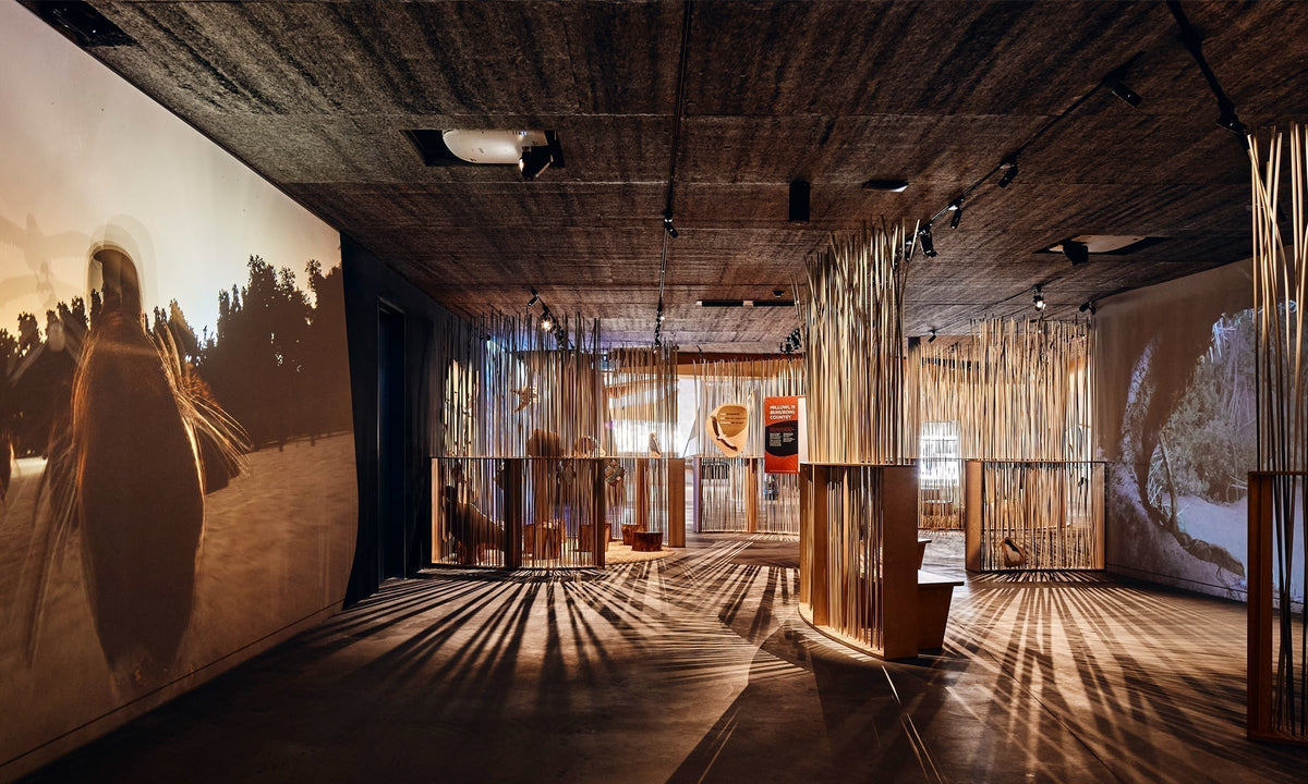 Celebrated Penguin Parade Visitor Centre – Specialist Lighting Distributors